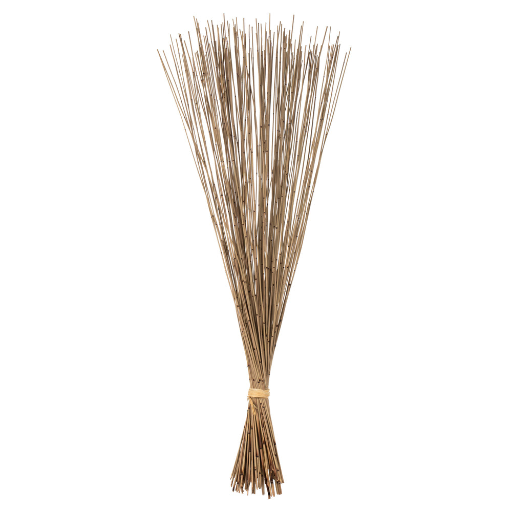 Natural Marsh Reed Bundle — Rockwall Artisan Home